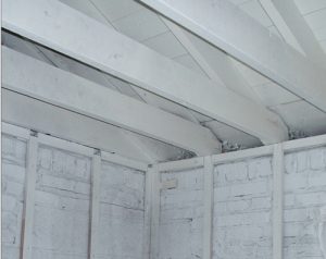What to expect during and after the application of Mold Resistant ...