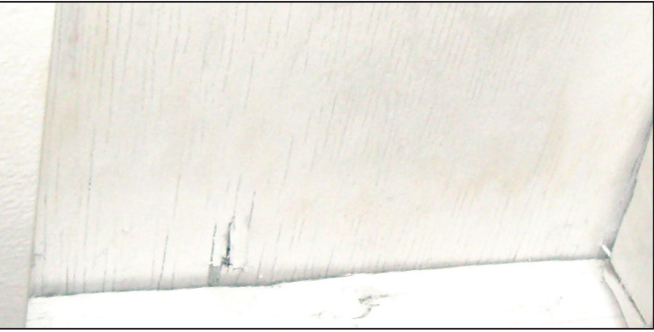 What to expect during and after the application of Mold Resistant ...